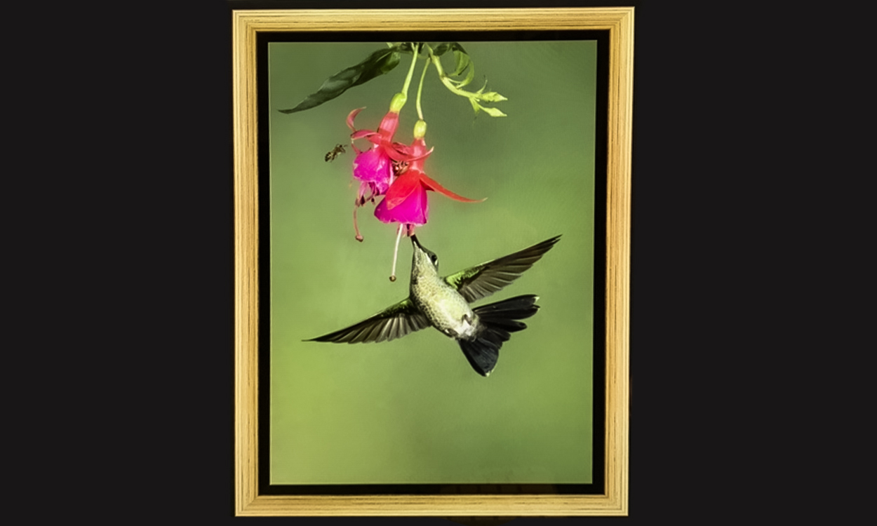 Noah John Rondeau’s Hermitage, photography by Bill Barber - Adirondack ...